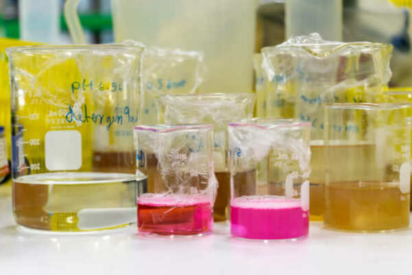 How Does Soap Work: The Science of Cleanliness | Oully